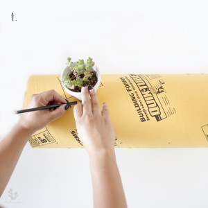 Hanging Planter – Hola Sara