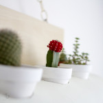 Hanging Planter – Hola Sara