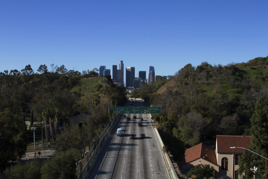 VIEWS OF DTLA – Hola Sara